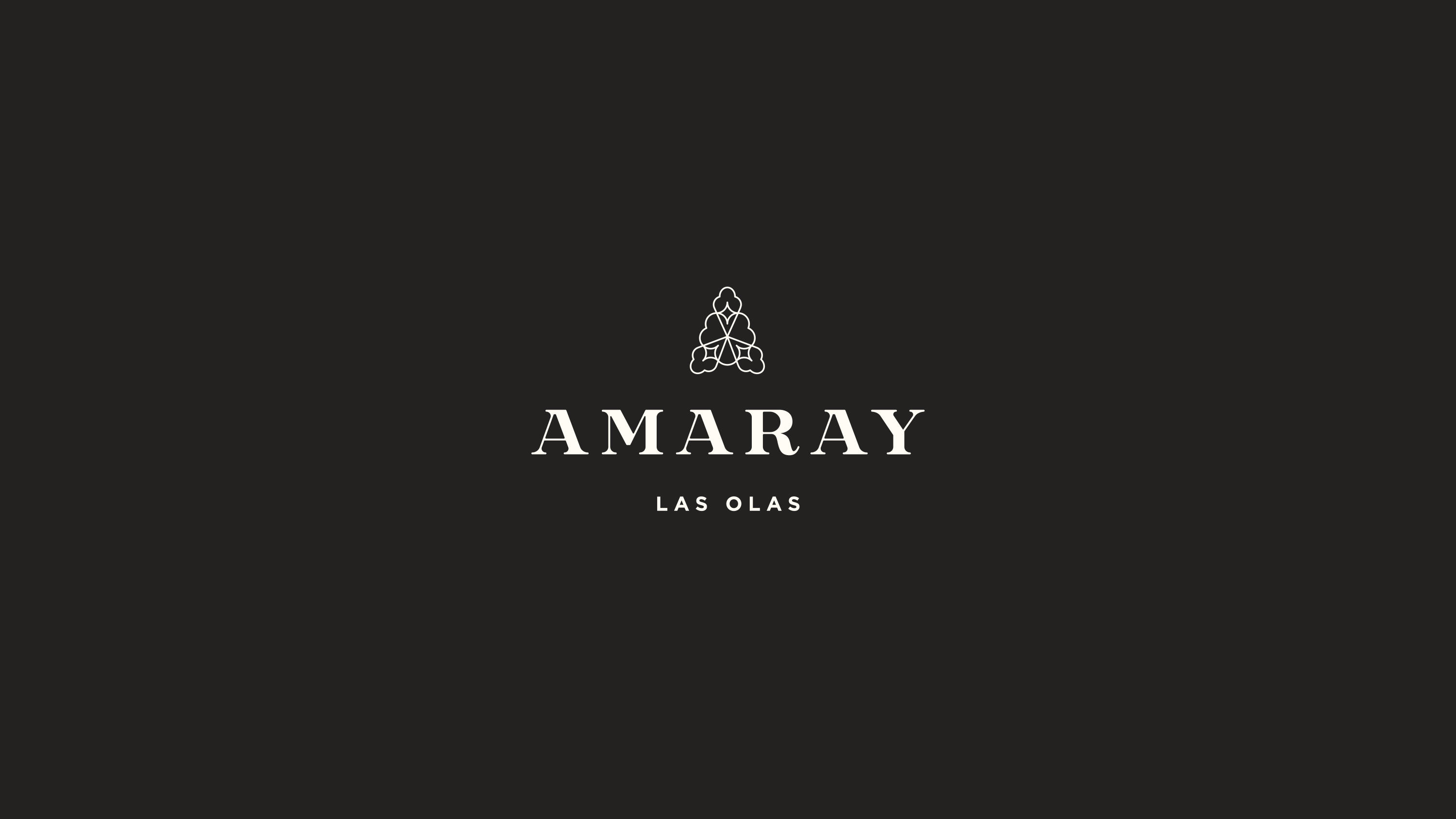 Amaray Branding Case Study Matchstic amaray-branding-case-study-matchstic